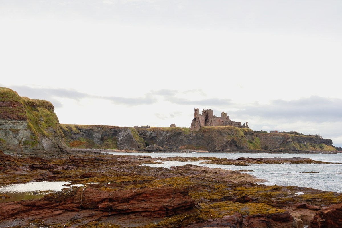 1. Hurdler, Archer or Treasure Hunter? Three Mental Models – Rupert Swallow